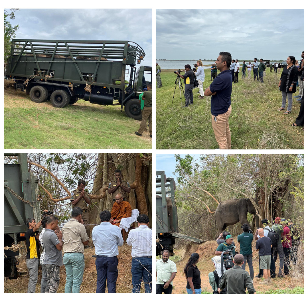 A Second Chance in the Wild | NKAR Corporate | Official Site